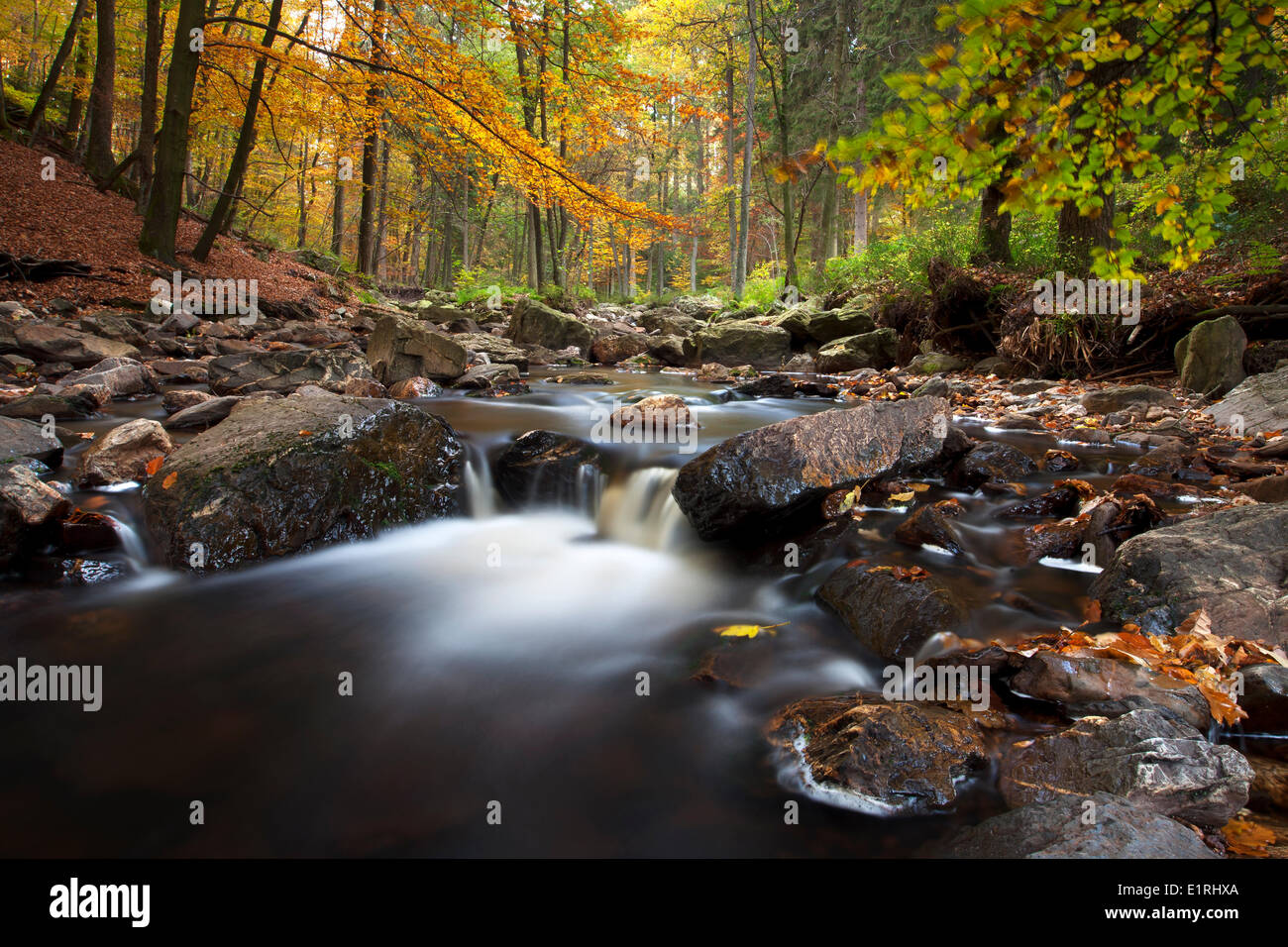 River Hoegne in the High Fens, Belgium Stock Photo - Alamy