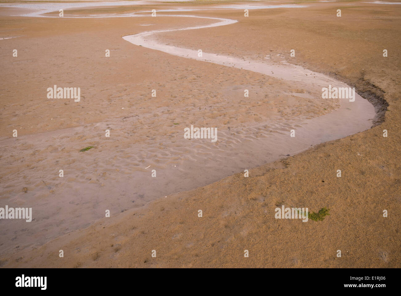 Trench with flowing water on the beach at low tide Stock Photo - Alamy