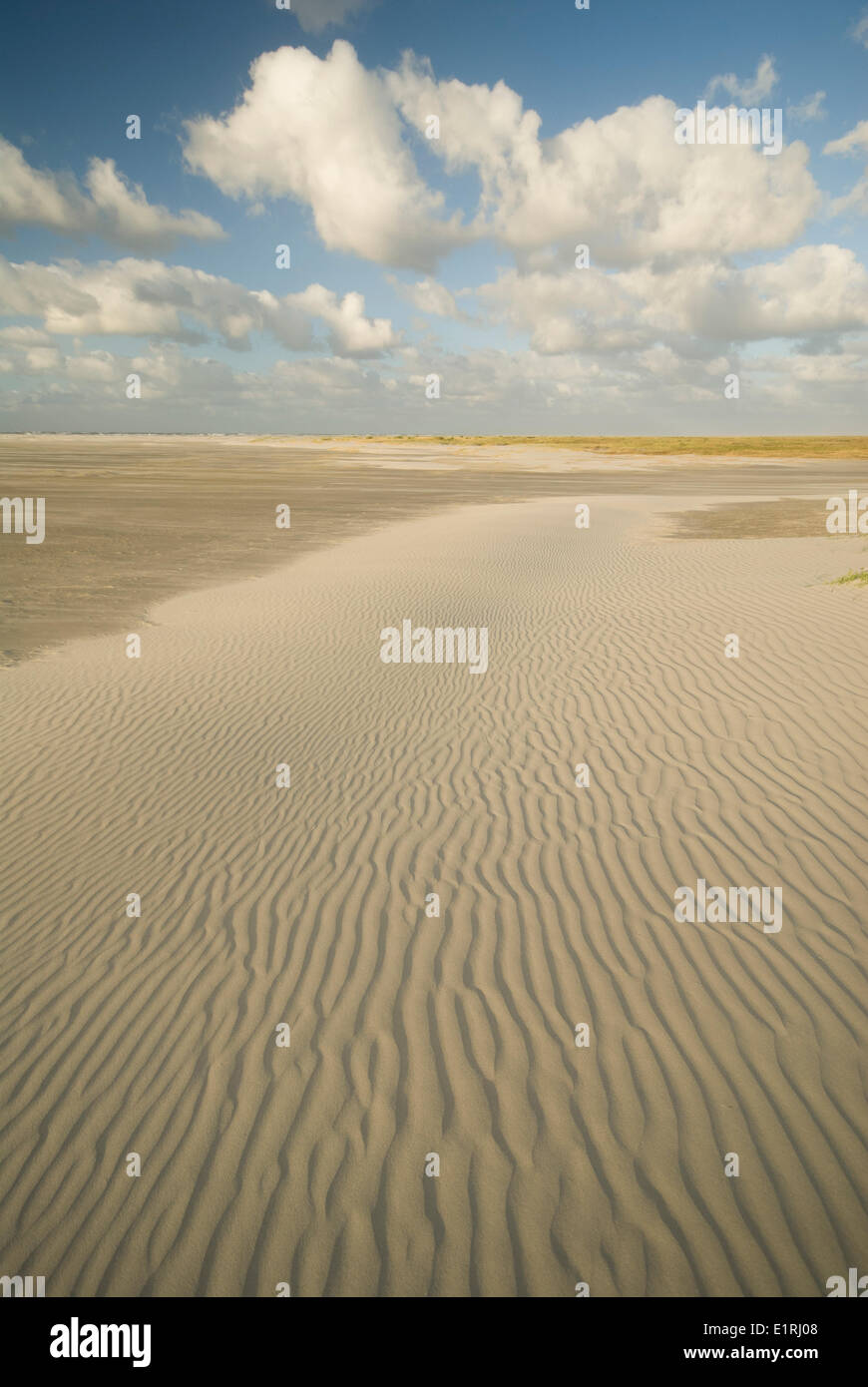Waves in the sand on the beach caused by the wind Stock Photo - Alamy