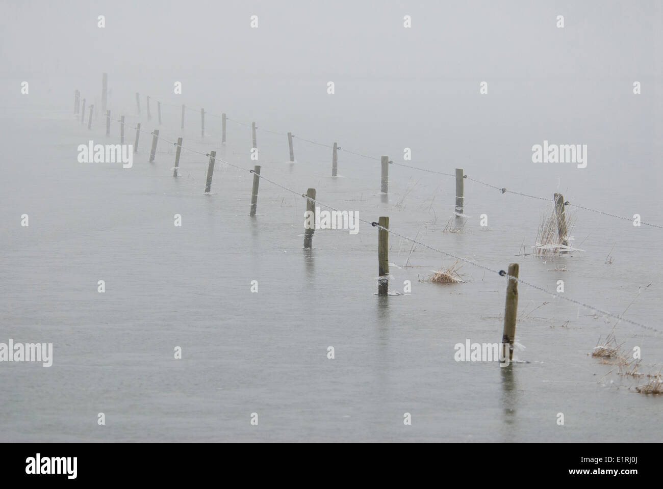 Frozen flood plain after flooding Stock Photo - Alamy