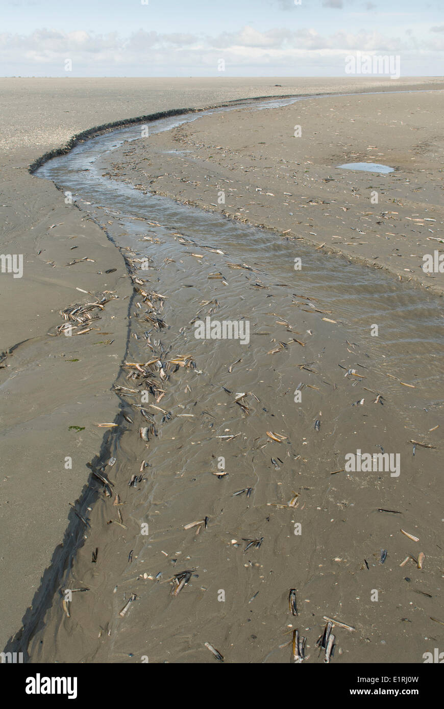 Gully beach hi-res stock photography and images - Alamy