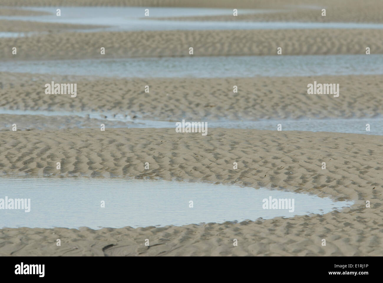 Tidal pools on the beach after high tide Stock Photo - Alamy