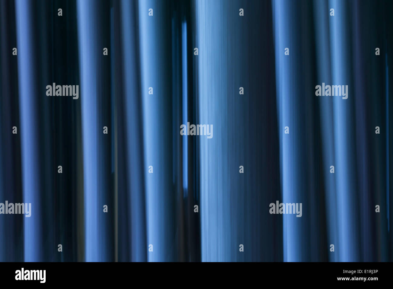 Graphic image of a spruce Pine forest in blue colours Stock Photo - Alamy