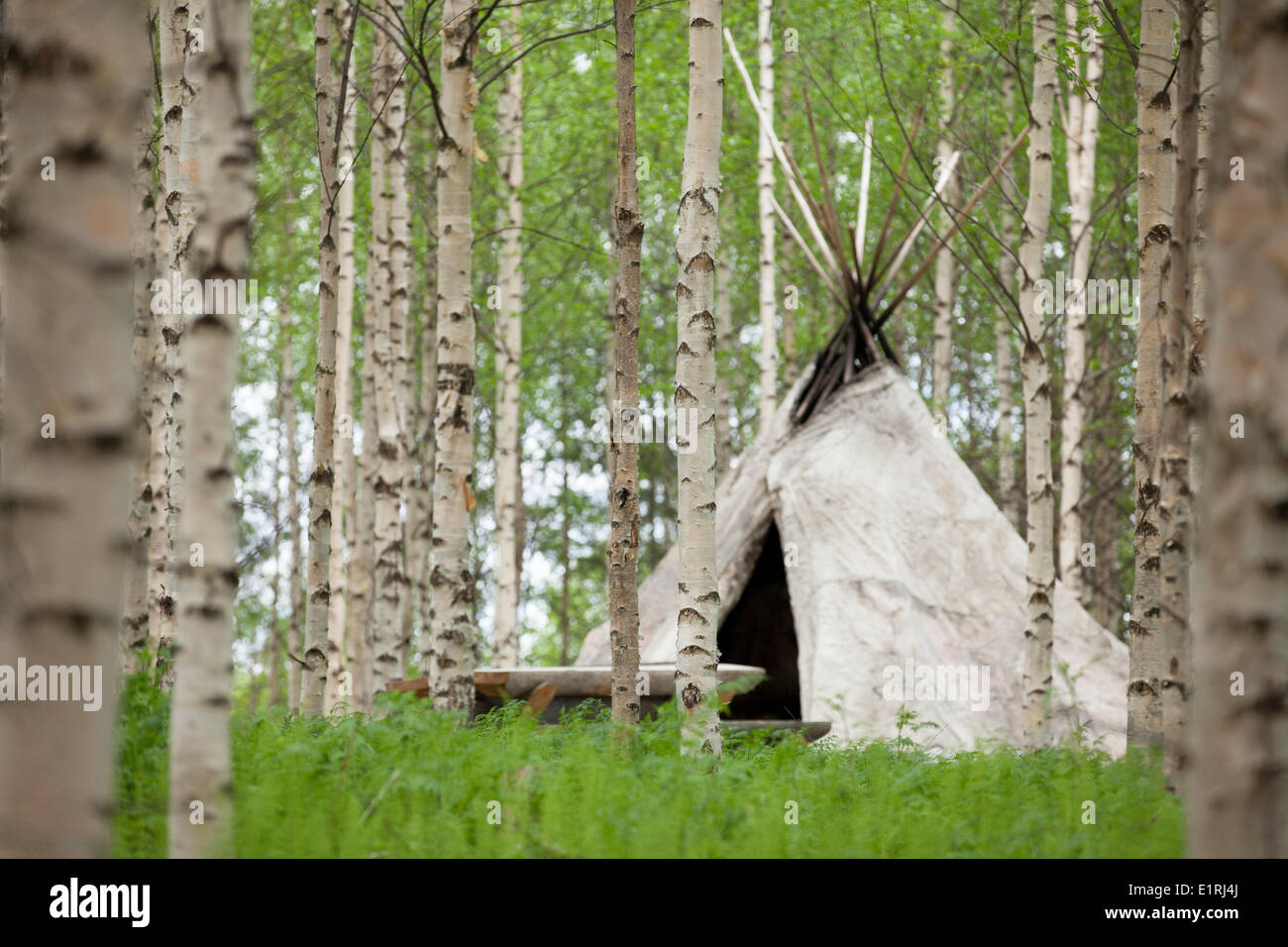 Saami tent hi-res stock photography and images - Alamy