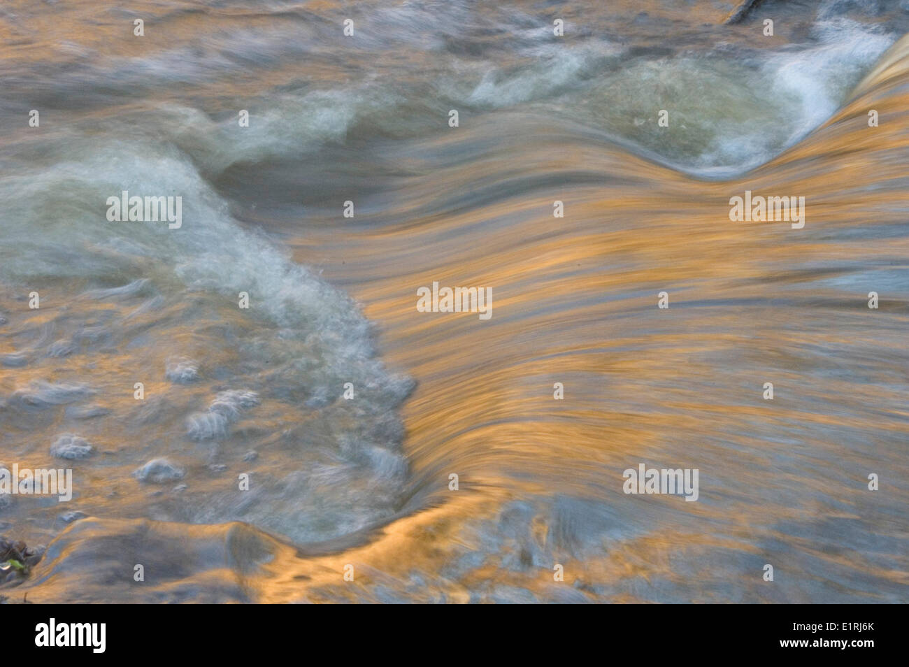 Brooklet hi-res stock photography and images - Alamy