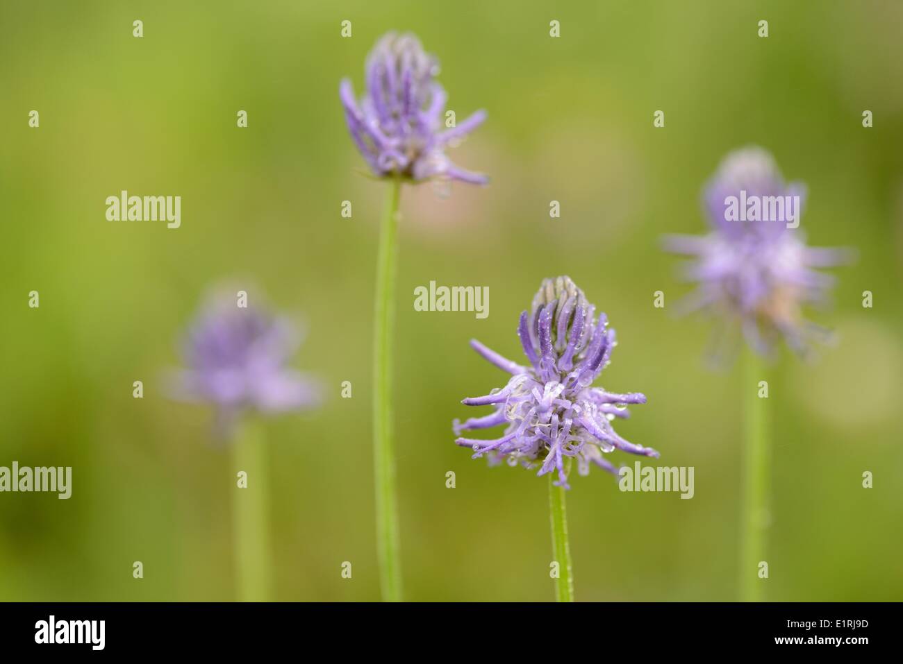 Black slope hi-res stock photography and images - Alamy