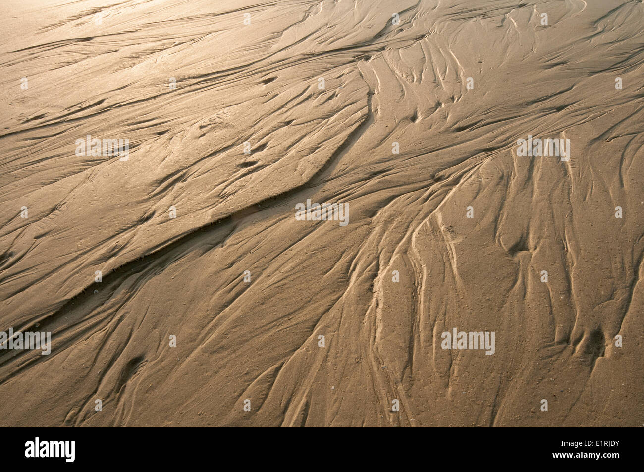 Structures in sand in evening light on the beach caused by flowing ...