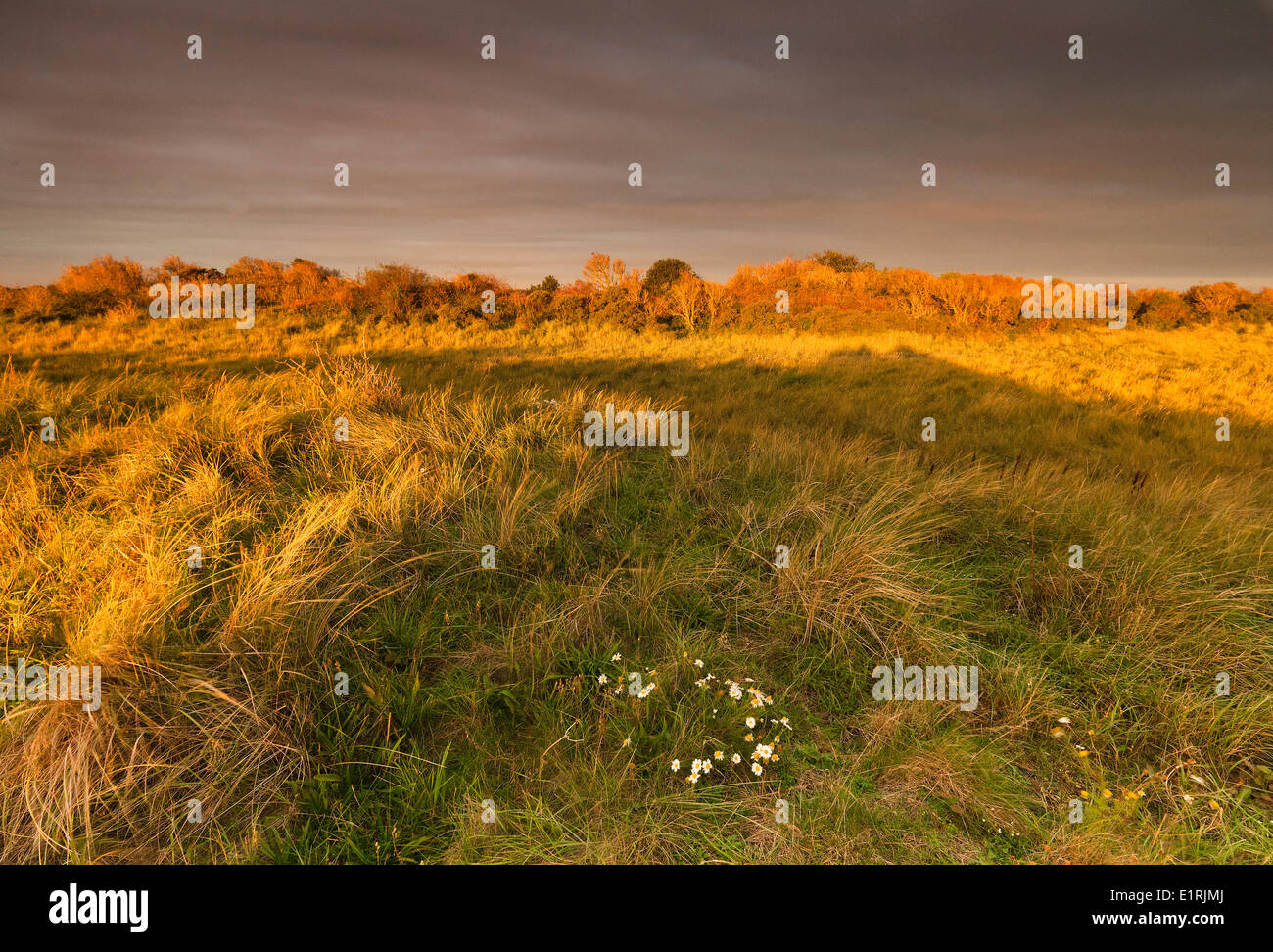 Estuarium High Resolution Stock Photography and Images - Alamy