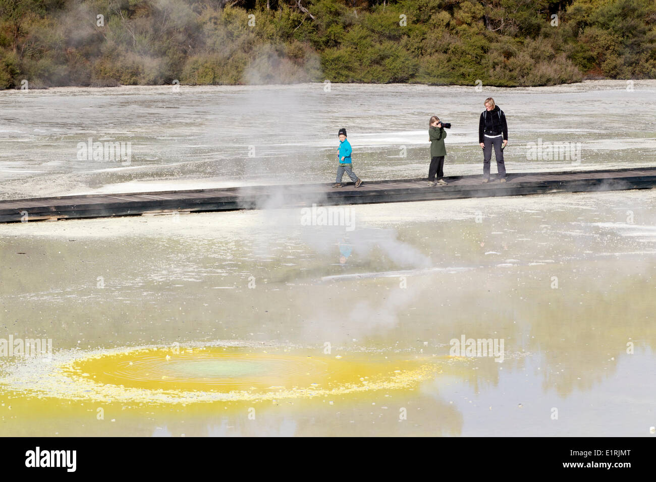 geothermal activity around Rotorua, New Zealand Stock Photo - Alamy