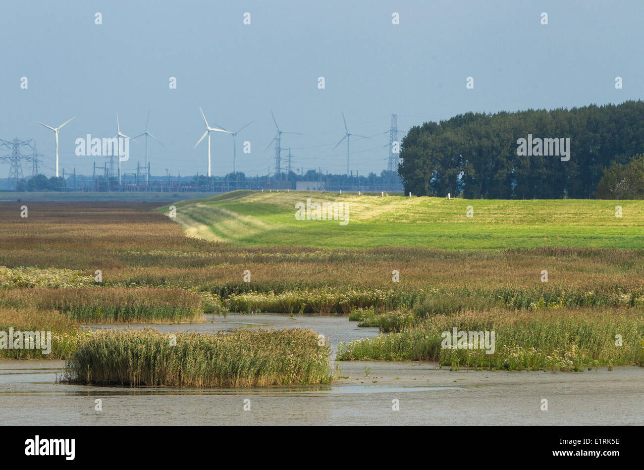 Border between nature reserve and agricultural area (polder) behind the ...