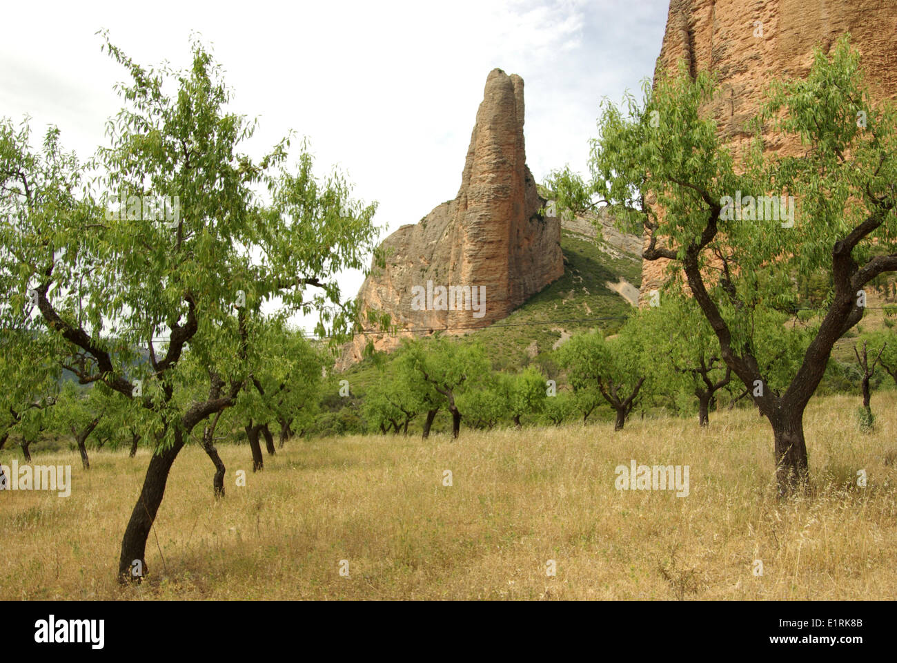 Cigar rock with conglomerate rocks between fruit trees Stock Photo - Alamy