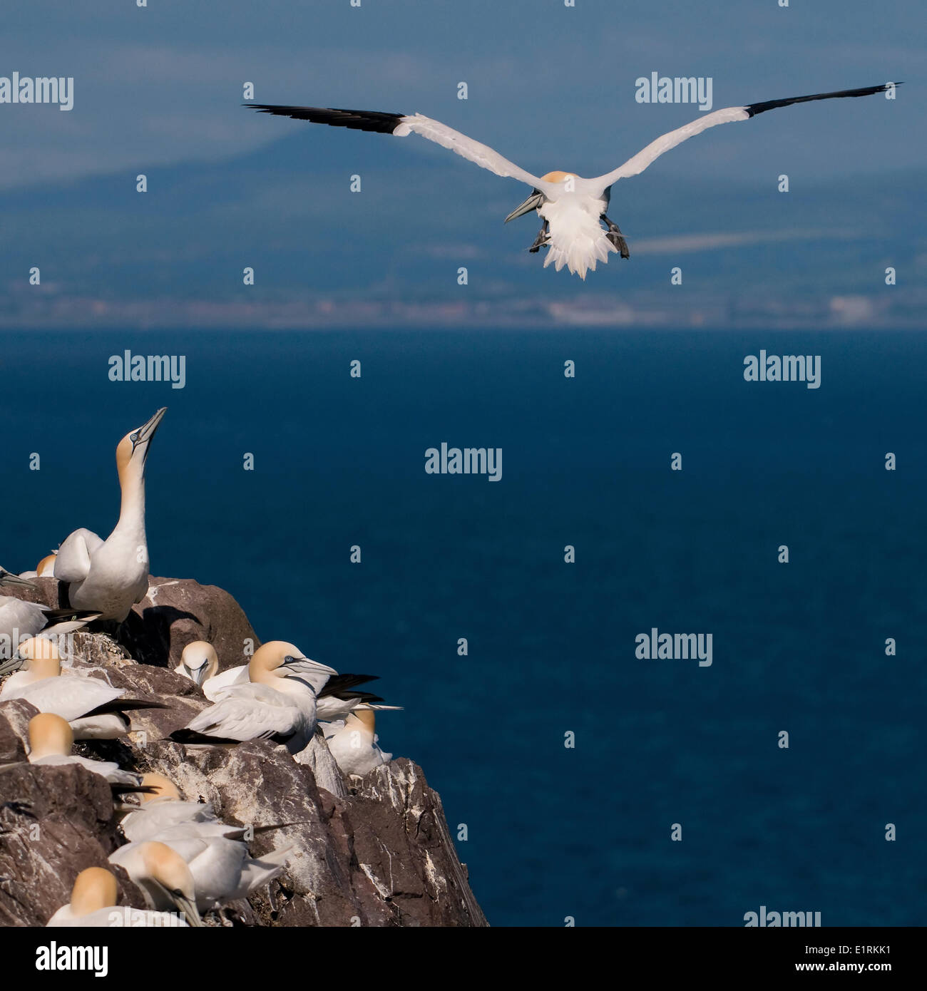 Flying rock hi-res stock photography and images - Alamy