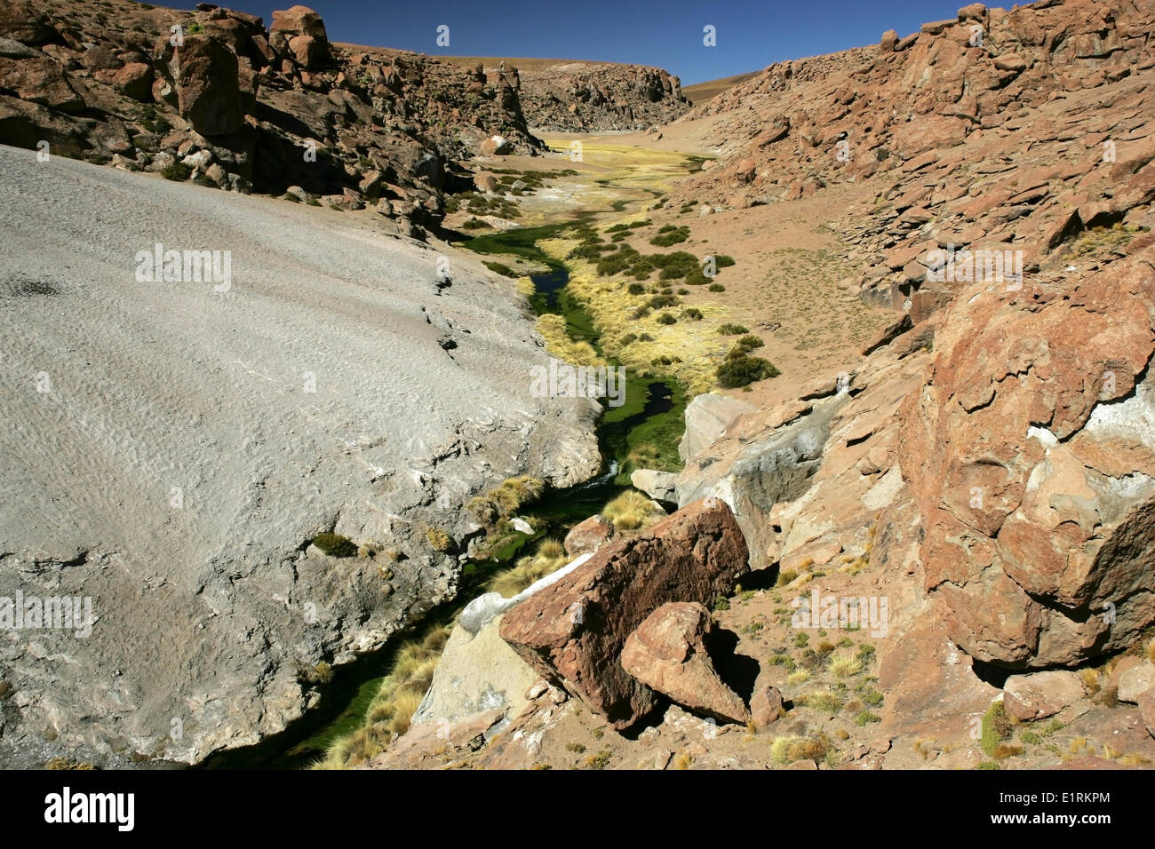River in the Atacama desert Stock Photo - Alamy