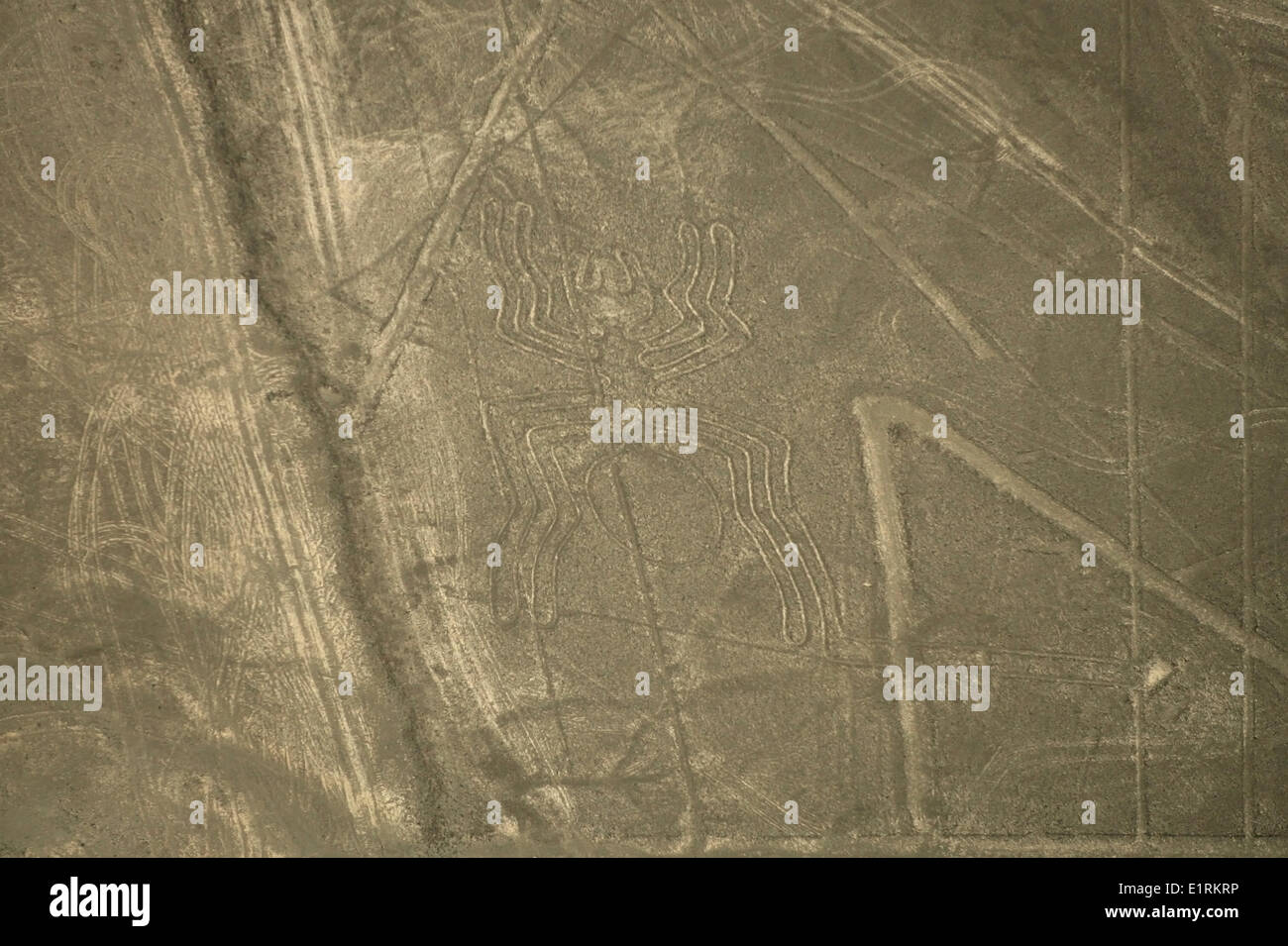 Nazca line hi-res stock photography and images - Alamy