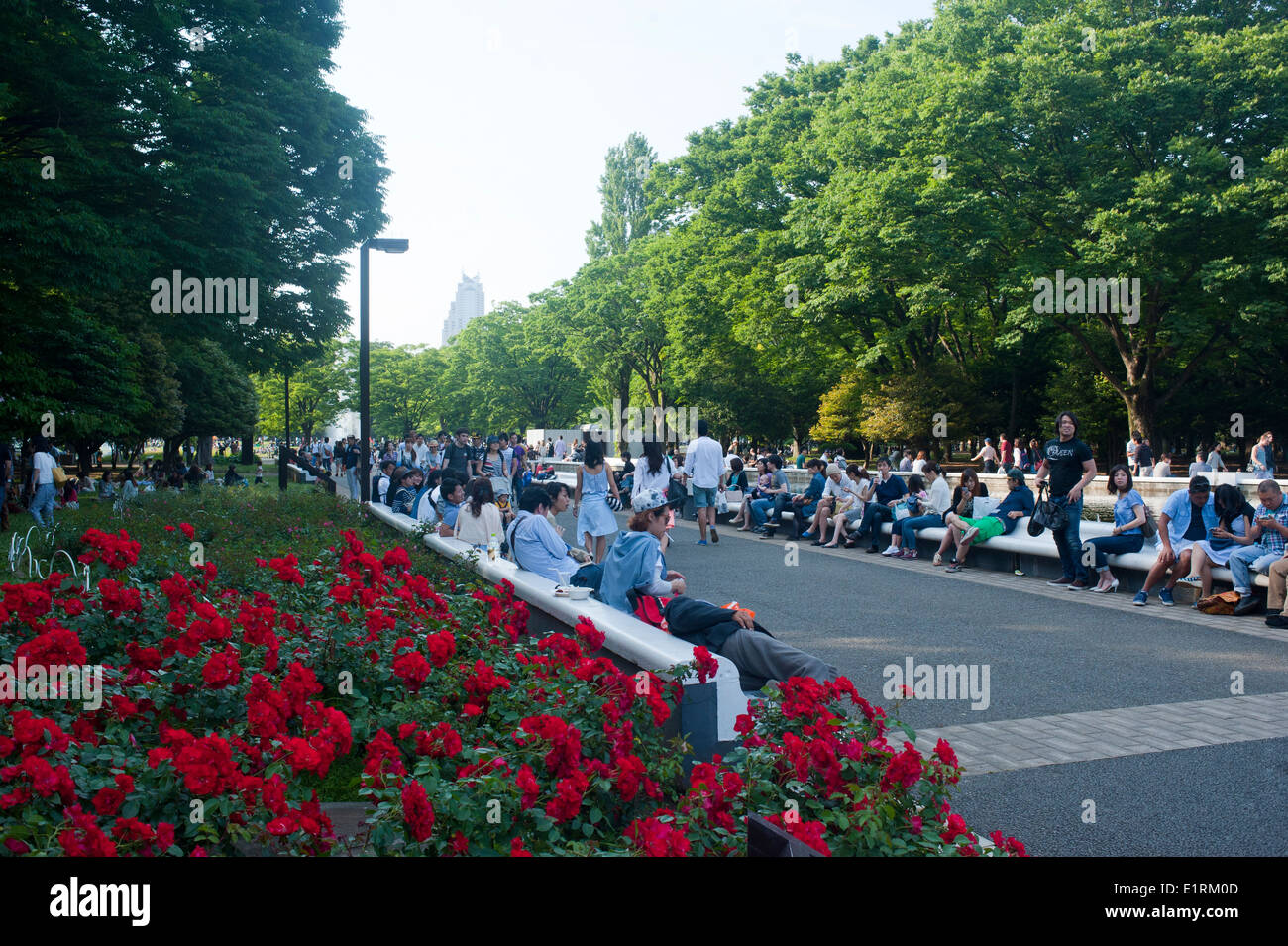 Tokyo Japan May 2014 - Yoyogi Park Stock Photo - Alamy