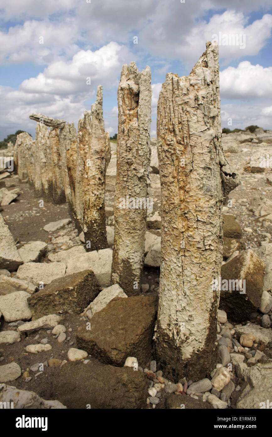 At extreme low water levels the remains of an old dike are visible ...