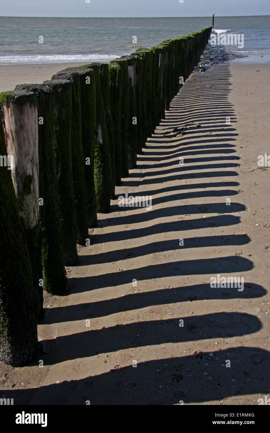 beach at Nieuwesluis Stock Photo - Alamy