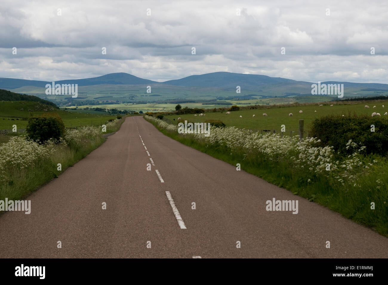 Road across the Cheviot Hills Stock Photo - Alamy