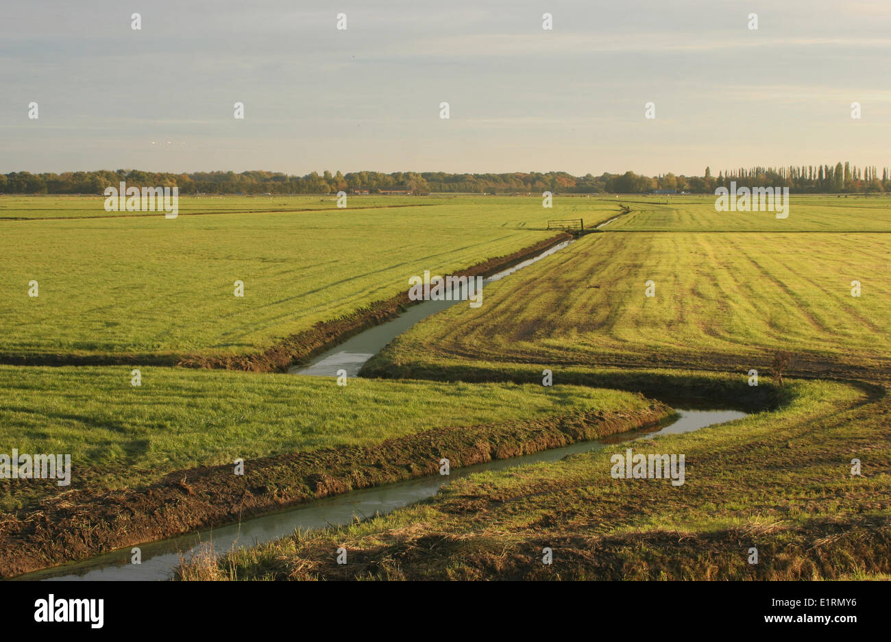 Puttense polder hi-res stock photography and images - Alamy