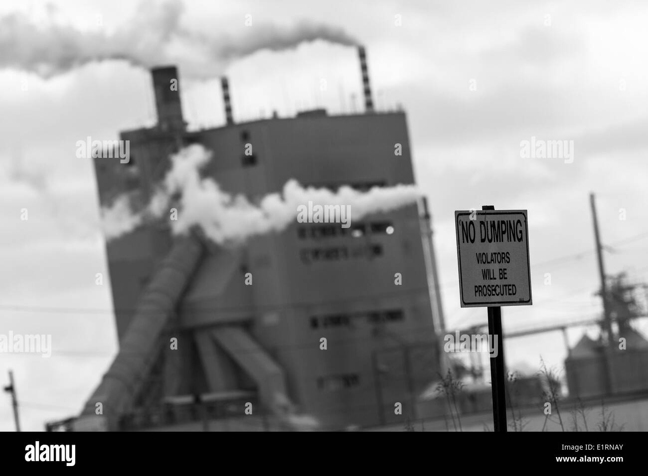 Plant arkansas Black and White Stock Photos & Images - Alamy