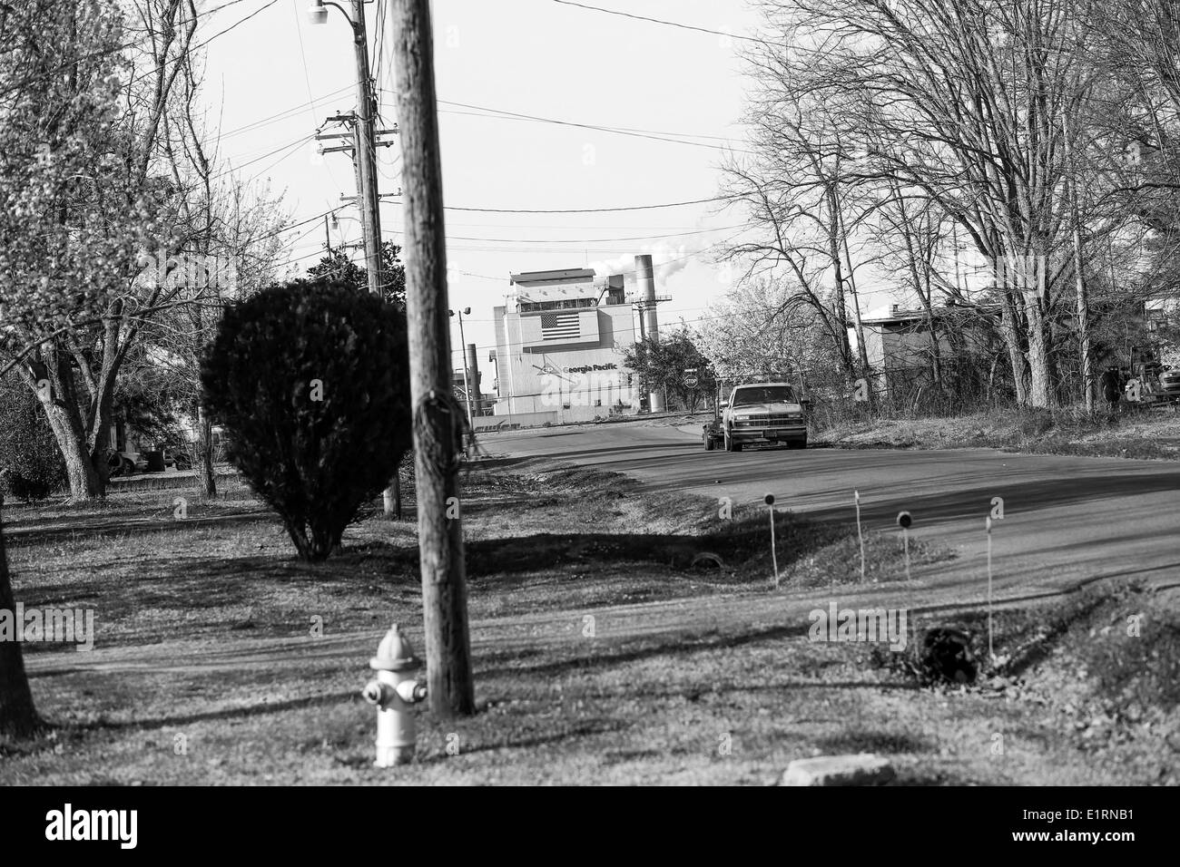 Plant arkansas Black and White Stock Photos & Images - Alamy