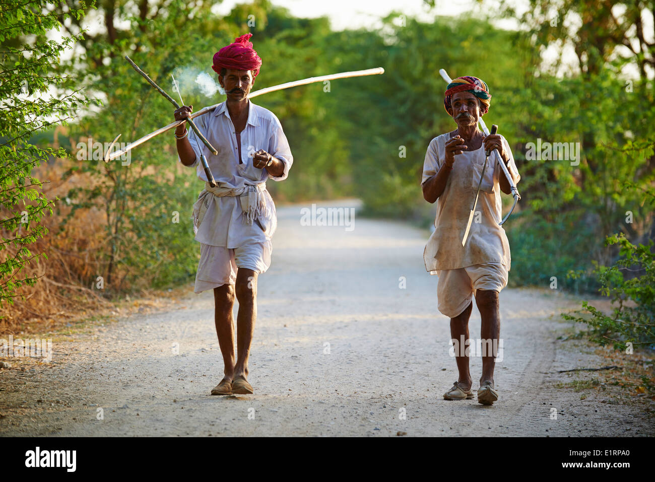 India, Rajasthan, Nimaj village around Jodhpur, Rabari shepherd Stock ...