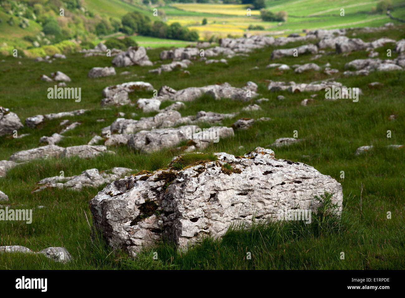 Yorkshire Dales National Park, Yorkshire, England, UK. June 2014 ...