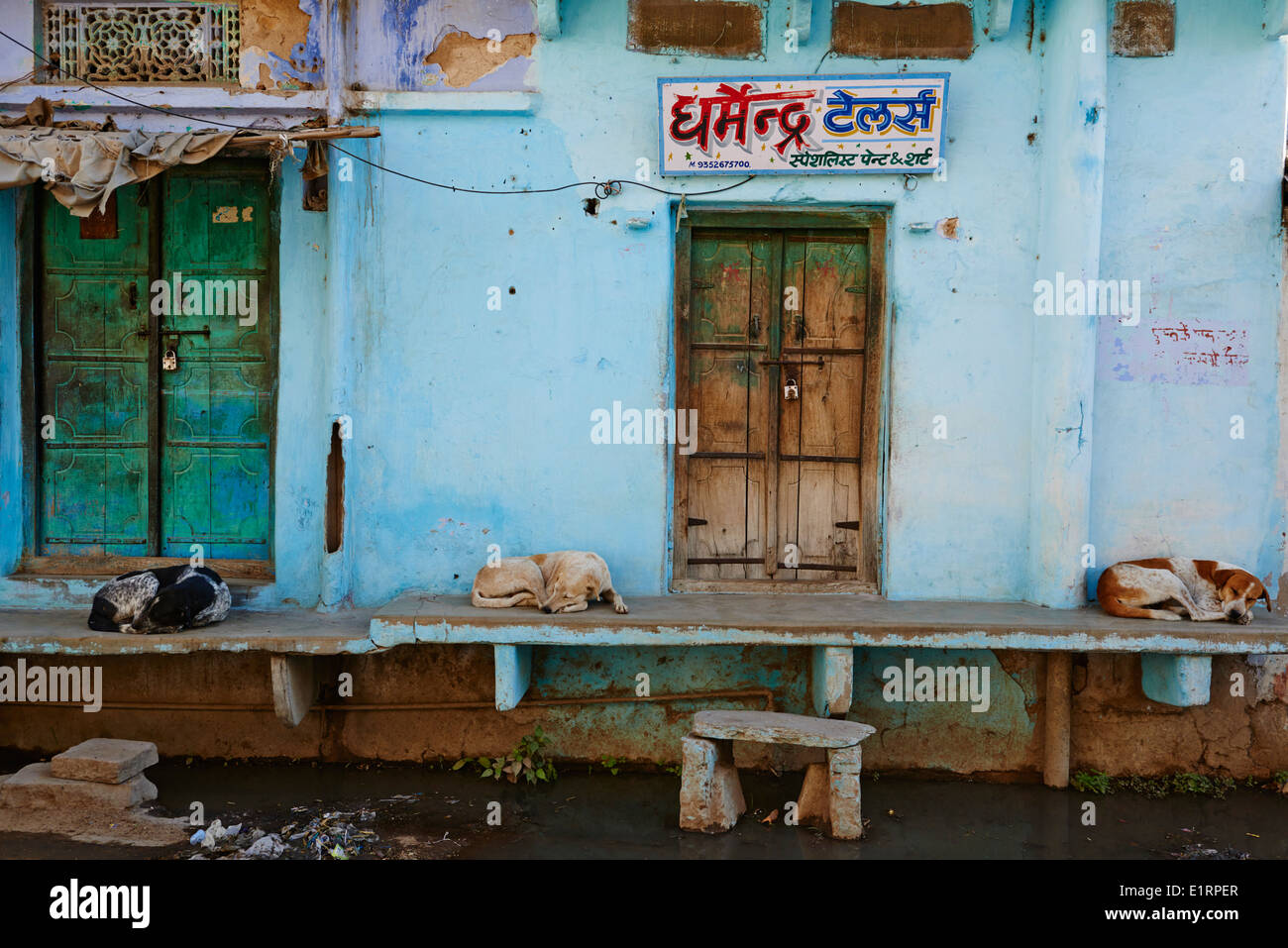 India, Rajasthan, Nimaj village around Jodhpur Stock Photo - Alamy