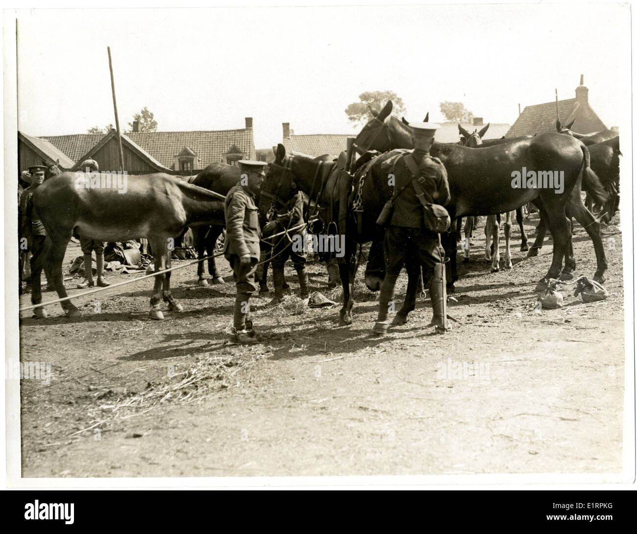 Ww1 transport history hi-res stock photography and images - Alamy