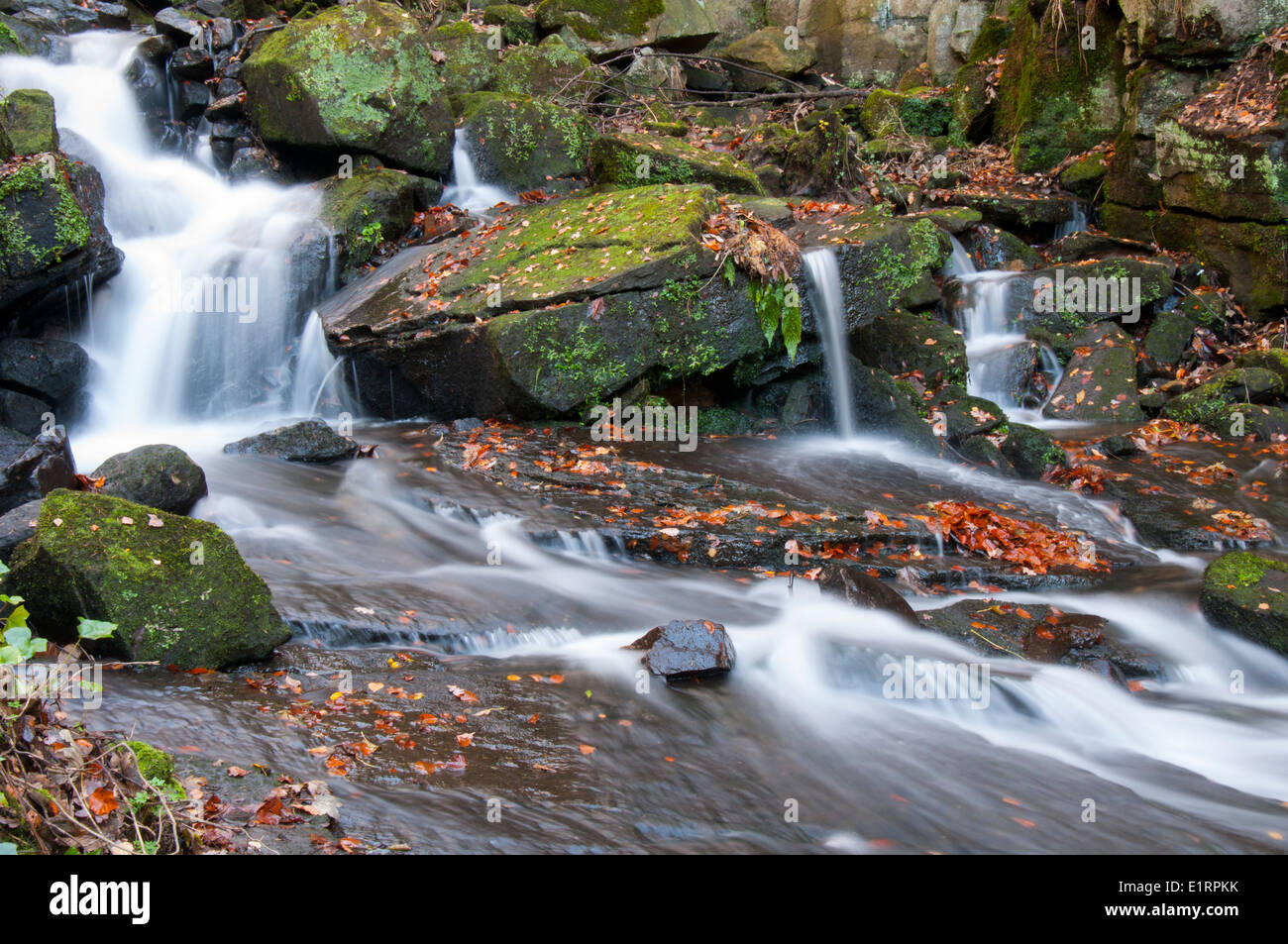 Autumn at Lumsdale Falls, near Matlock in the Peak District Derbyshire ...