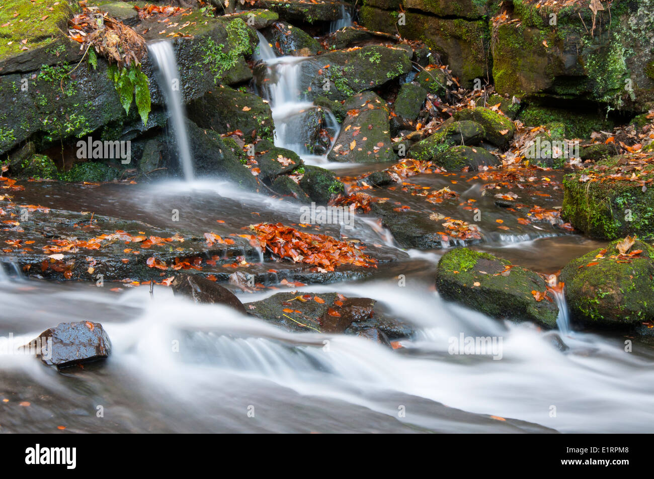 Autumn at Lumsdale Falls, near Matlock in the Peak District Derbyshire ...