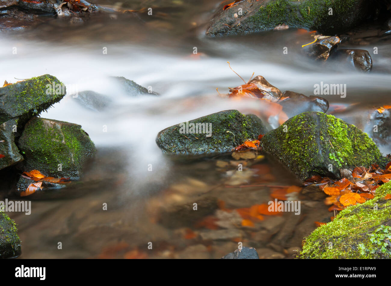 Autumn at Lumsdale Falls, near Matlock in the Peak District Derbyshire ...