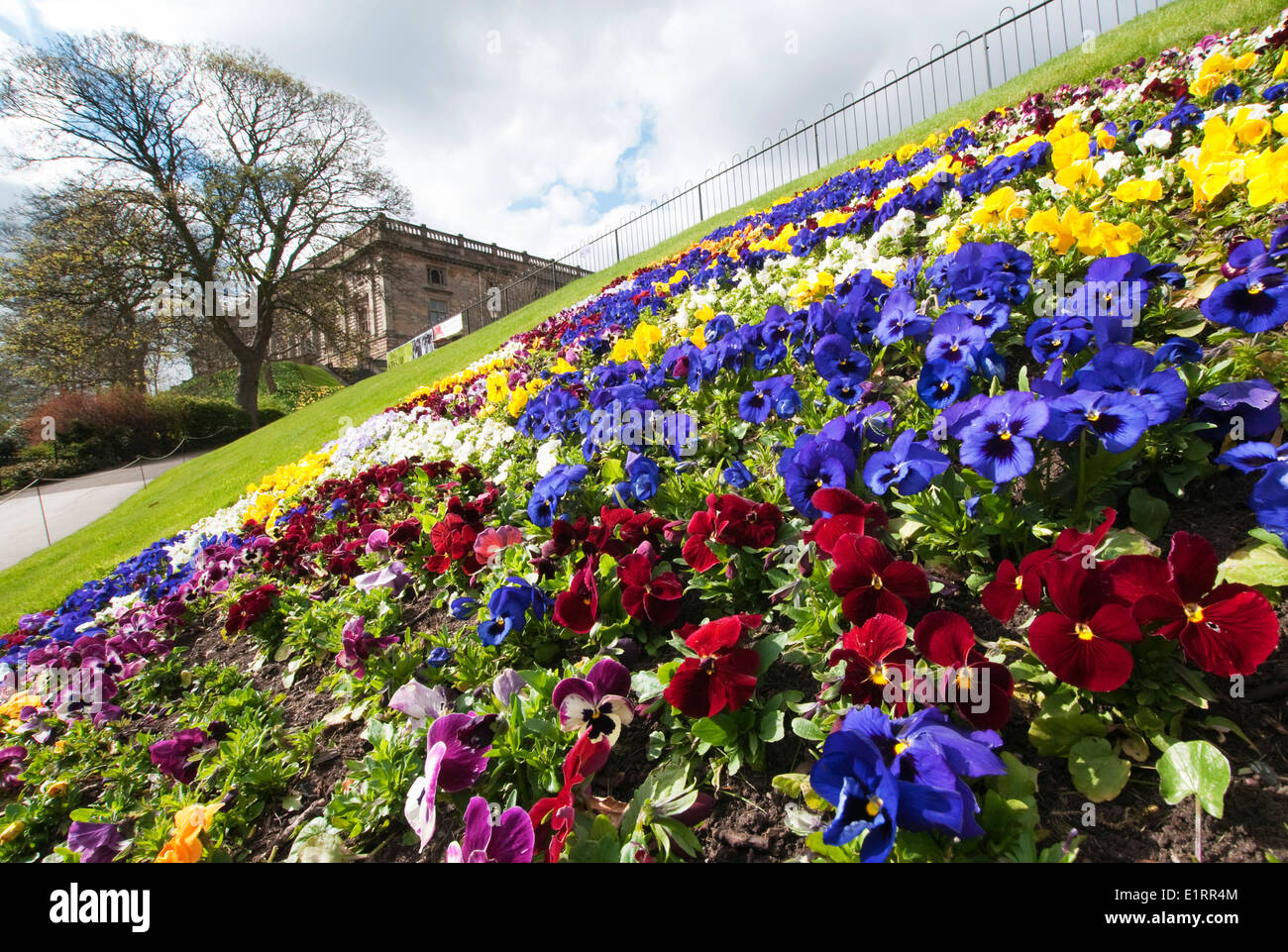 Spring at Nottingham Castle, Nottinghamshire England UK Stock Photo - Alamy