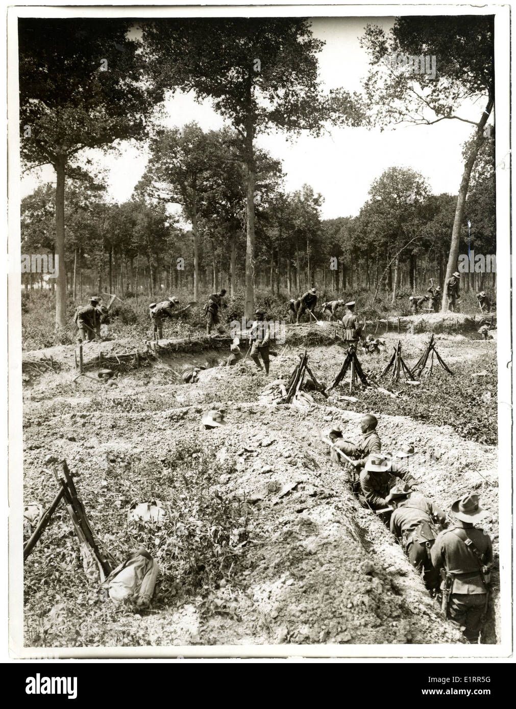 Communication trench ww1 hi-res stock photography and images - Alamy
