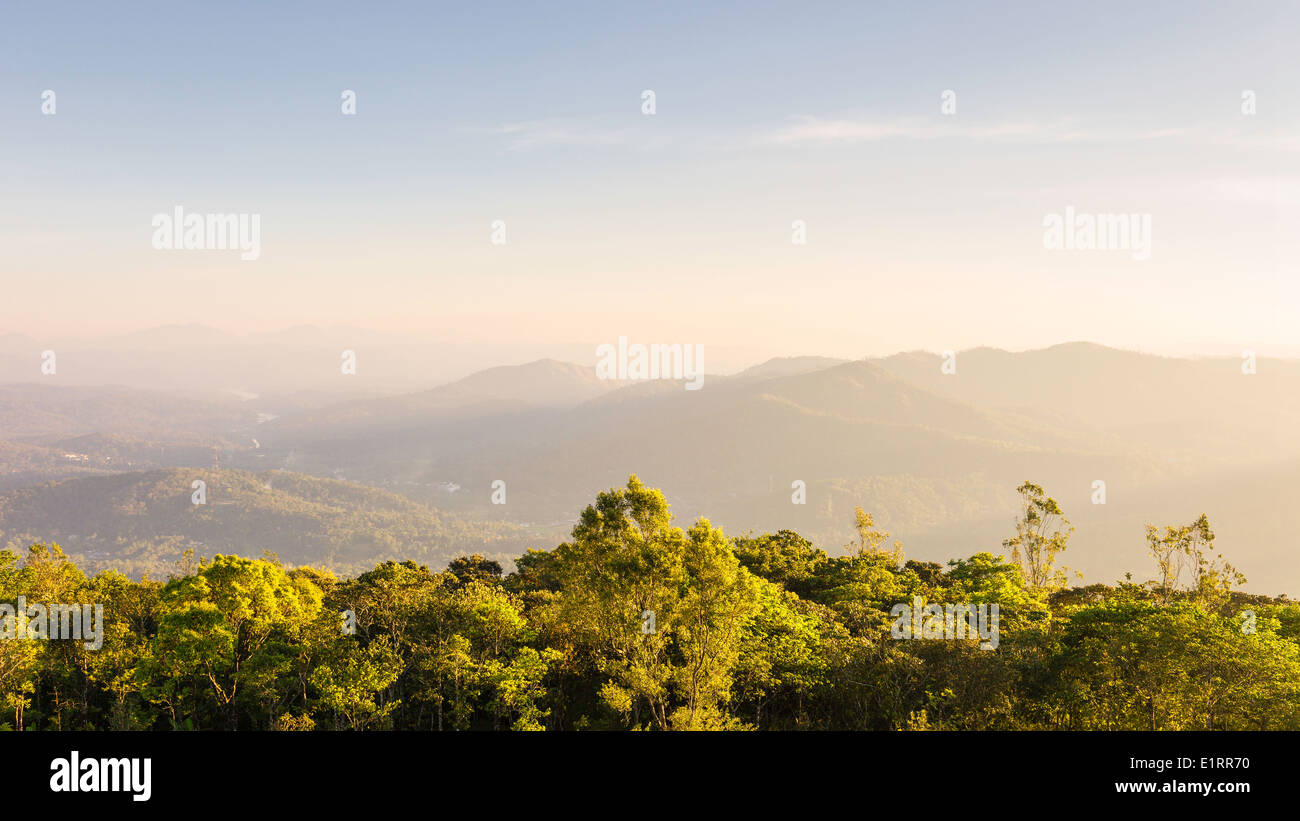 Cardamom hills hi-res stock photography and images - Alamy