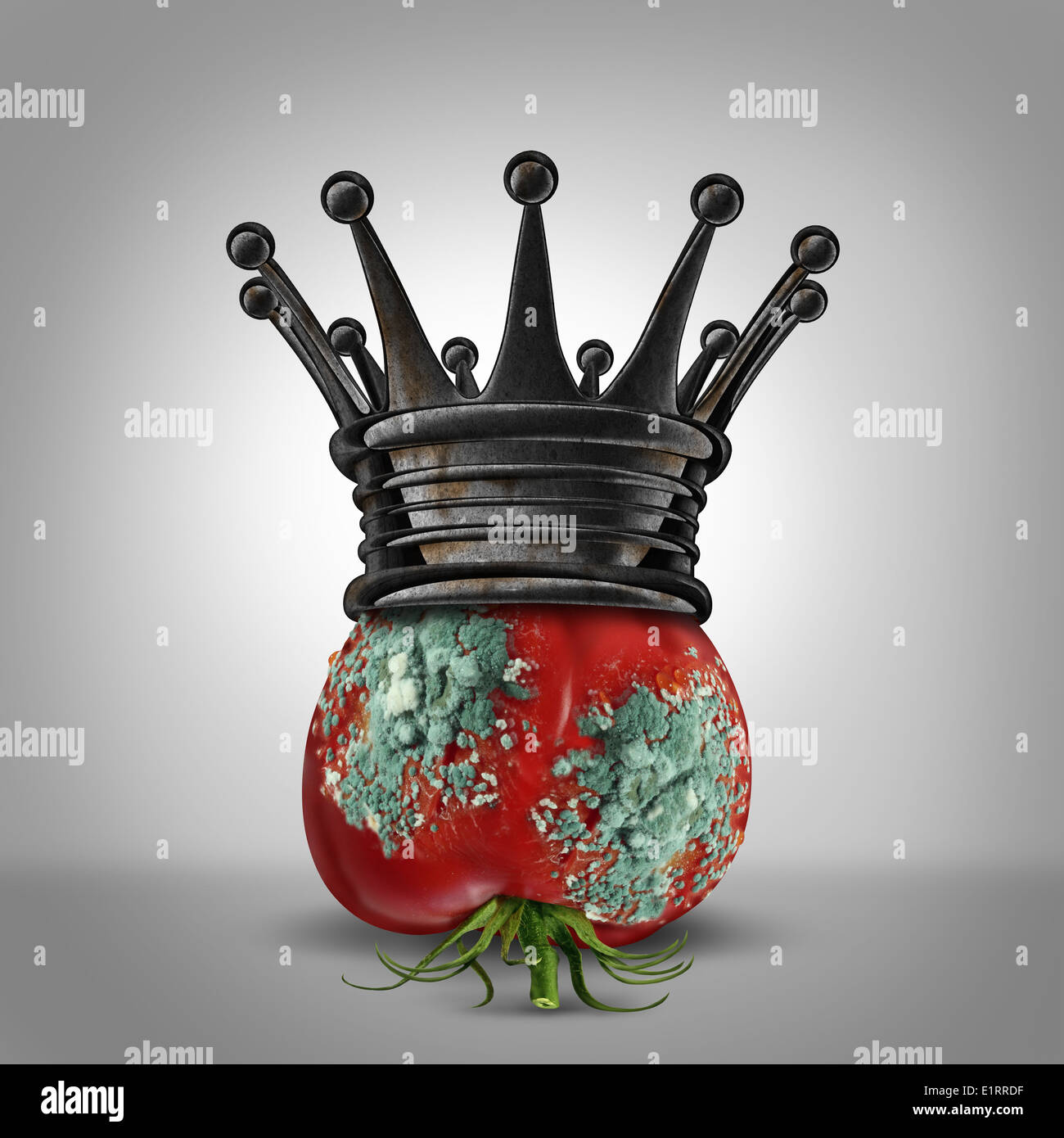 Corruption leadership concept as a roten tomato with mold wearing a ...