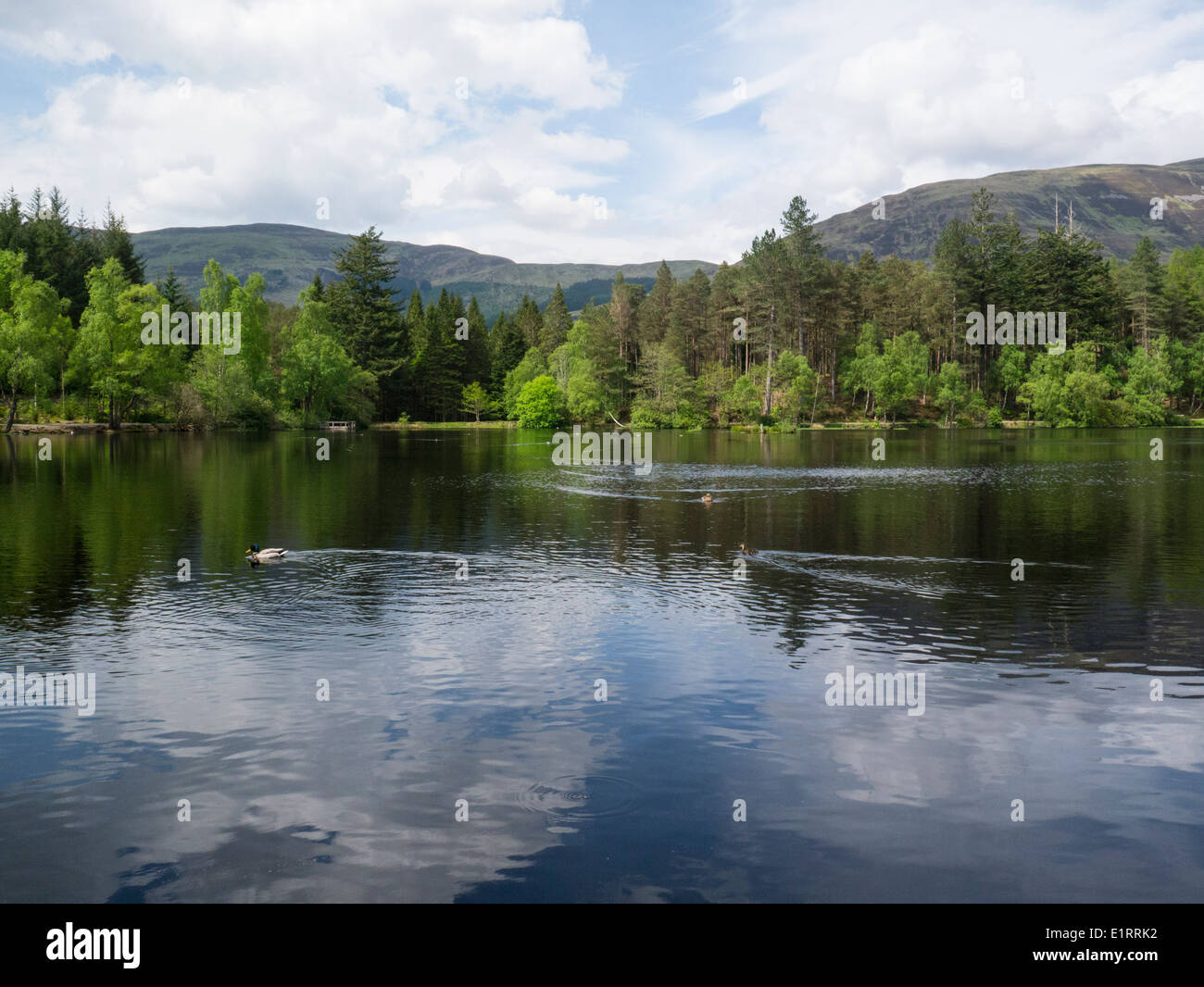 Lord strathcona hi-res stock photography and images - Alamy