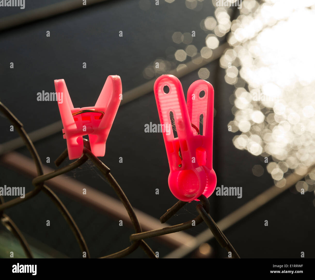 Two pink clothes pegs or clips Stock Photo - Alamy