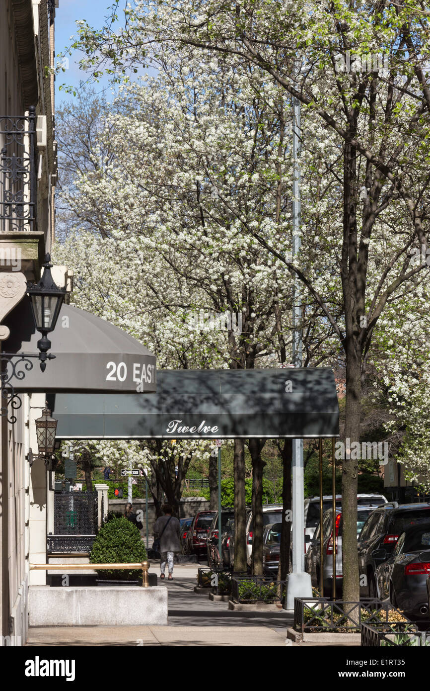 Street Scene, Upper East Side, Springtime, NYC, USA Stock Photo - Alamy