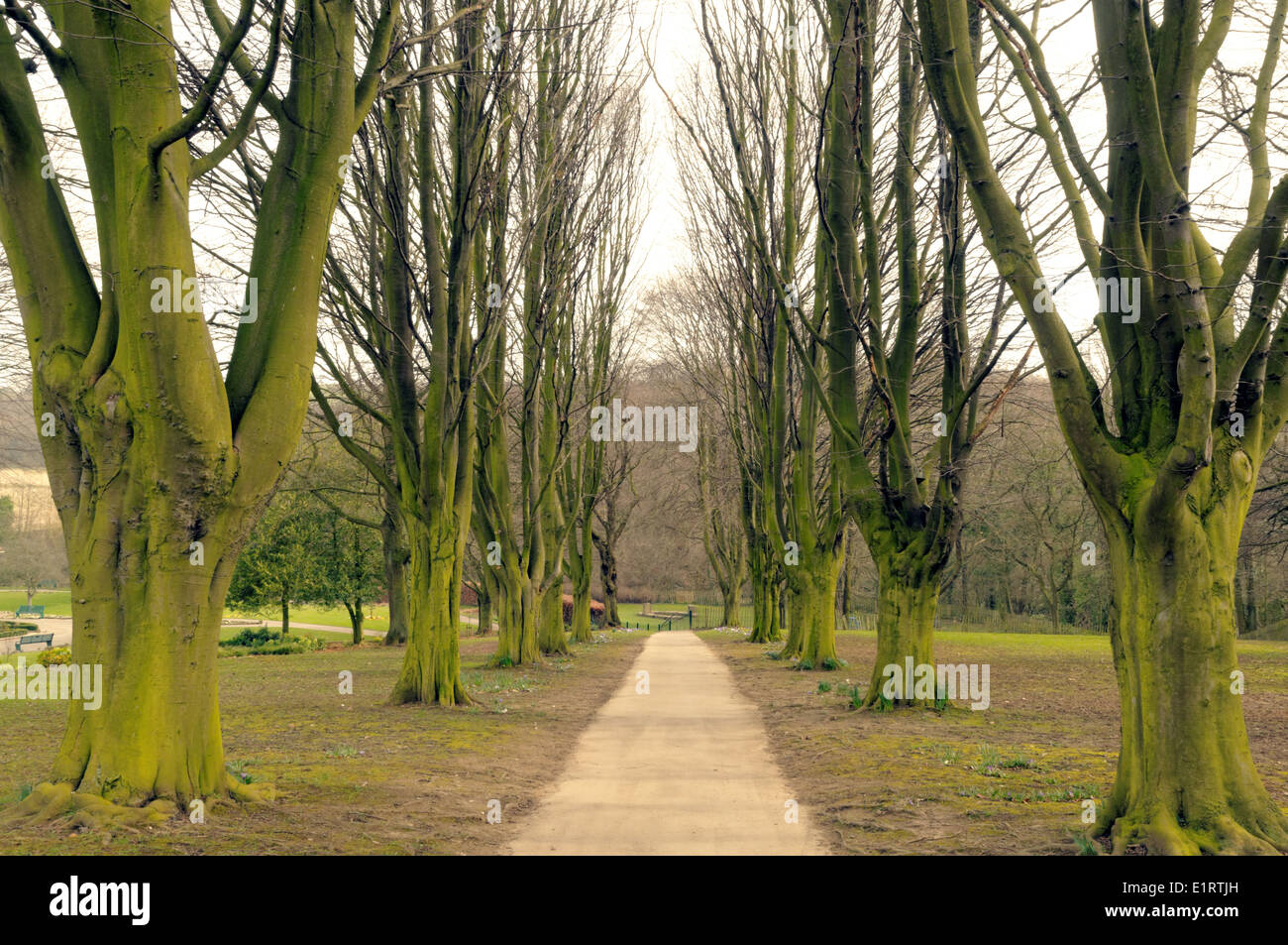 path on the park side Stock Photo - Alamy