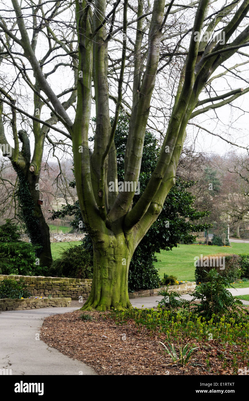Lone path hi-res stock photography and images - Alamy