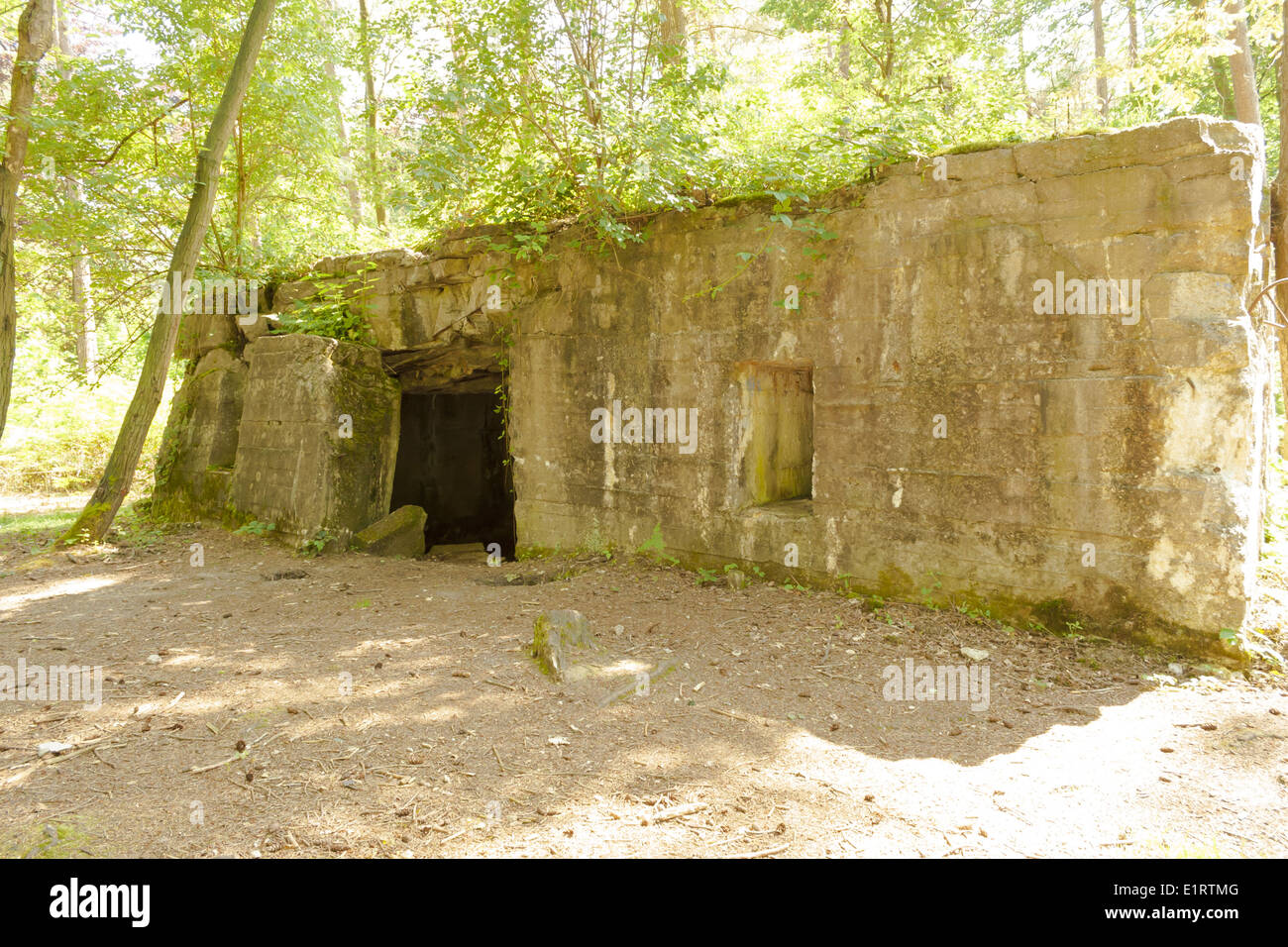 Bunker of world war 1 in flanders fields Stock Photo - Alamy