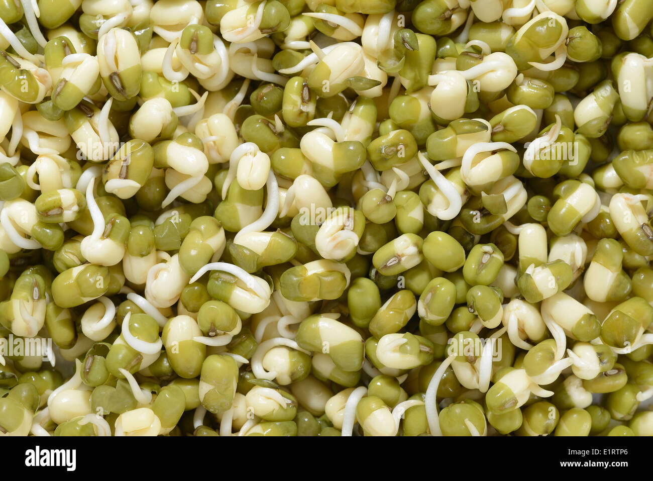 Green gram whole hi-res stock photography and images - Alamy