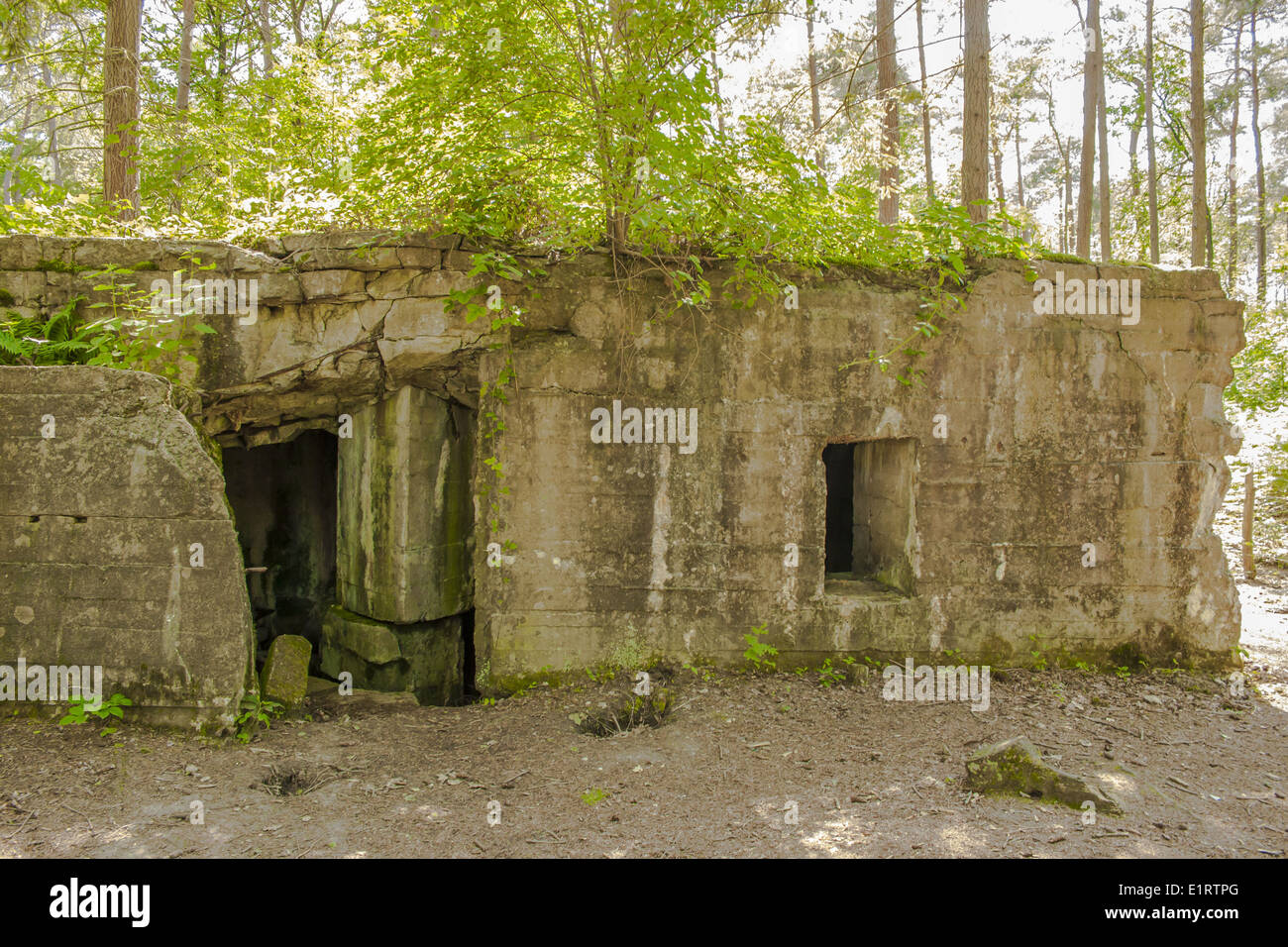Bunker of world war 1 in flanders fields Stock Photo - Alamy