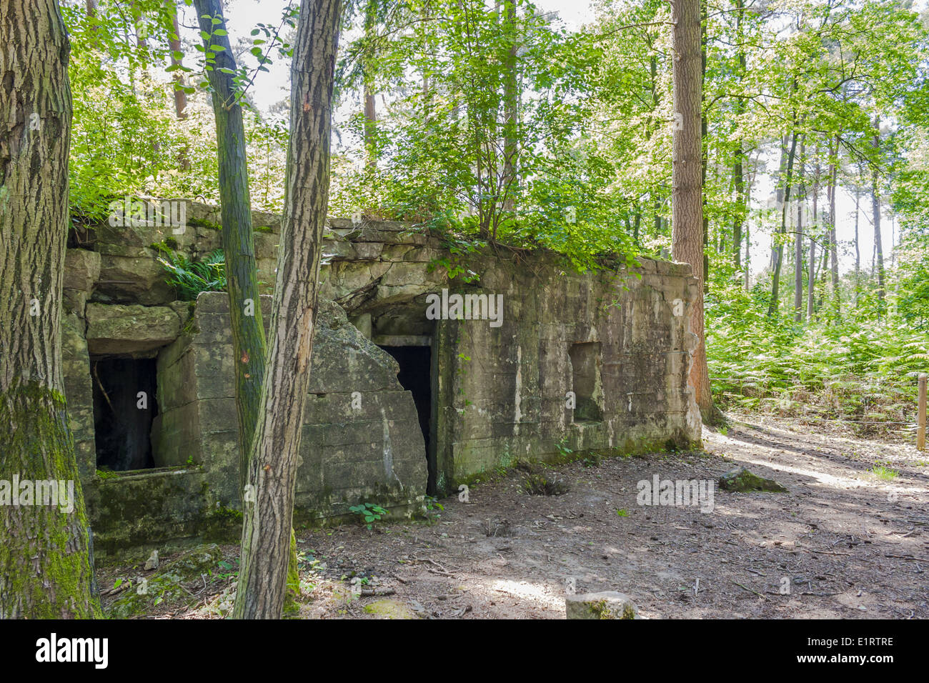Bunker of world war 1 in flanders fields Stock Photo - Alamy