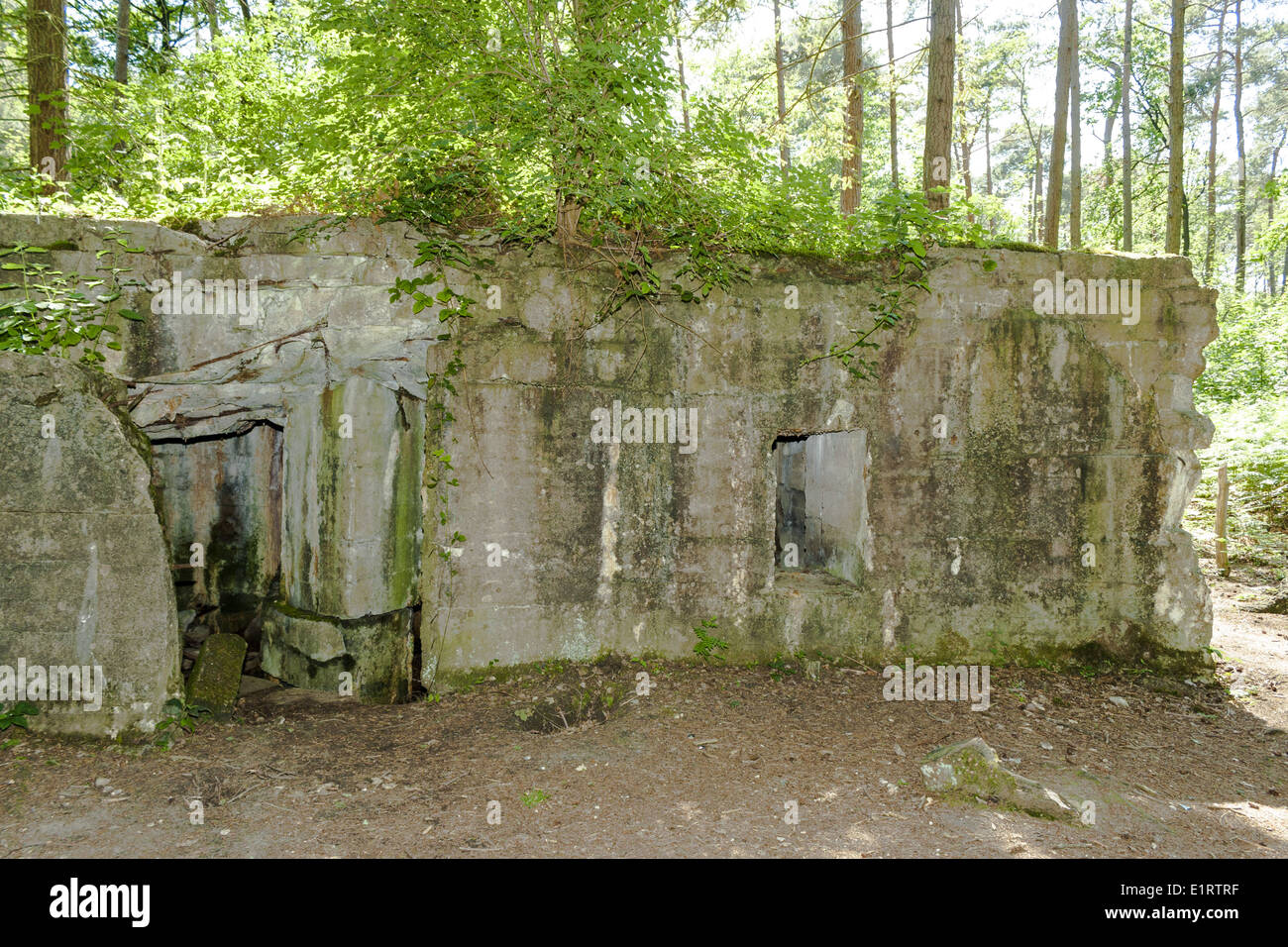 Bunker of world war 1 in flanders fields Stock Photo - Alamy