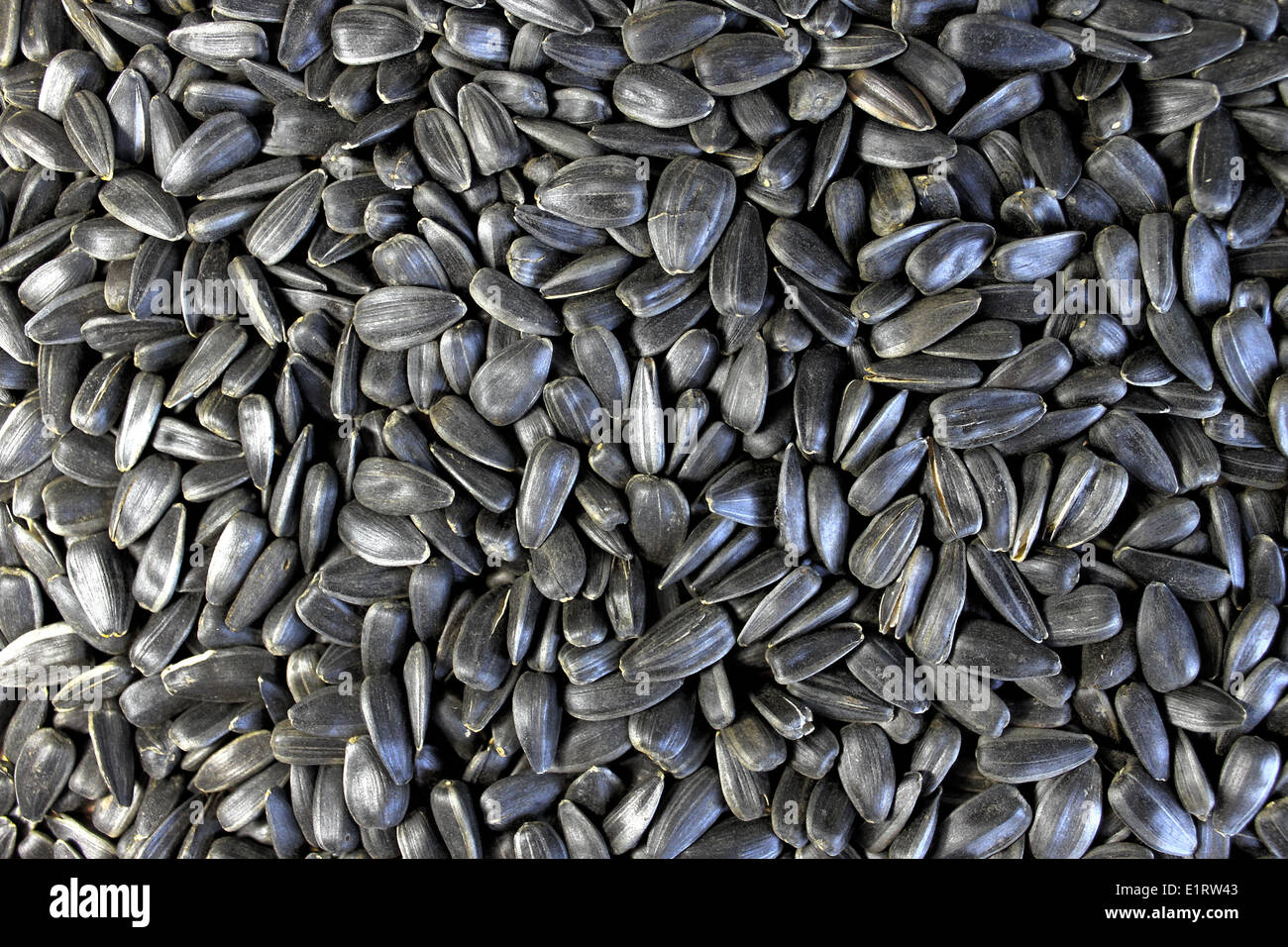 Sunflower seeds background Stock Photo - Alamy
