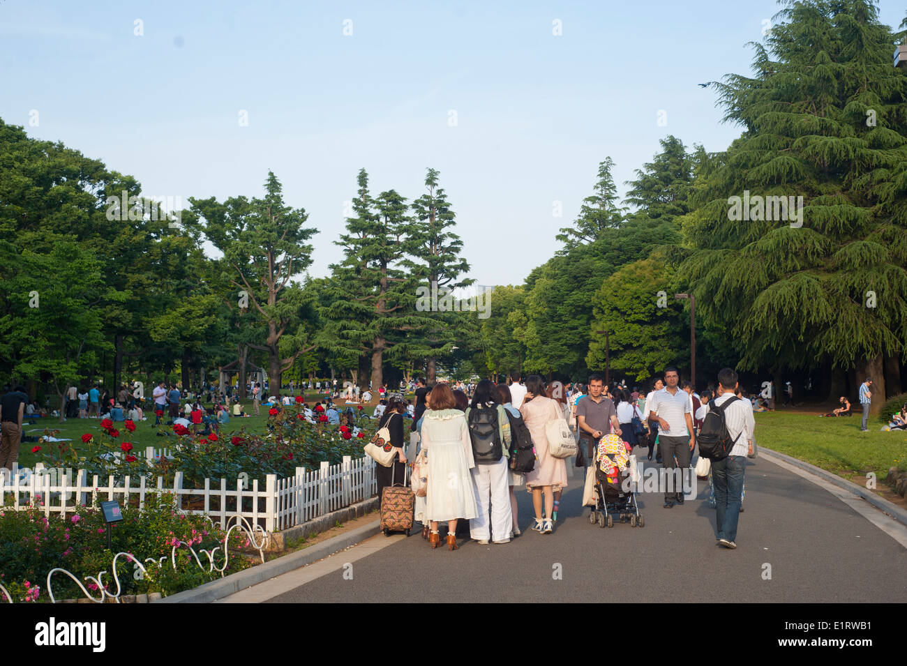 Tokyo japan yoyogi park hi-res stock photography and images - Alamy