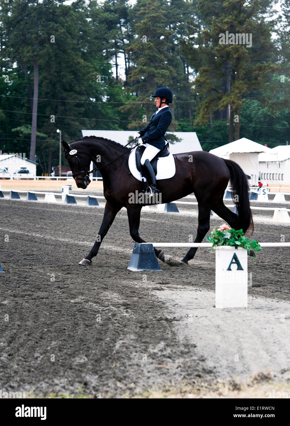 Kate Young riding "Sensational Song" at Dressage in the Sandhills ...