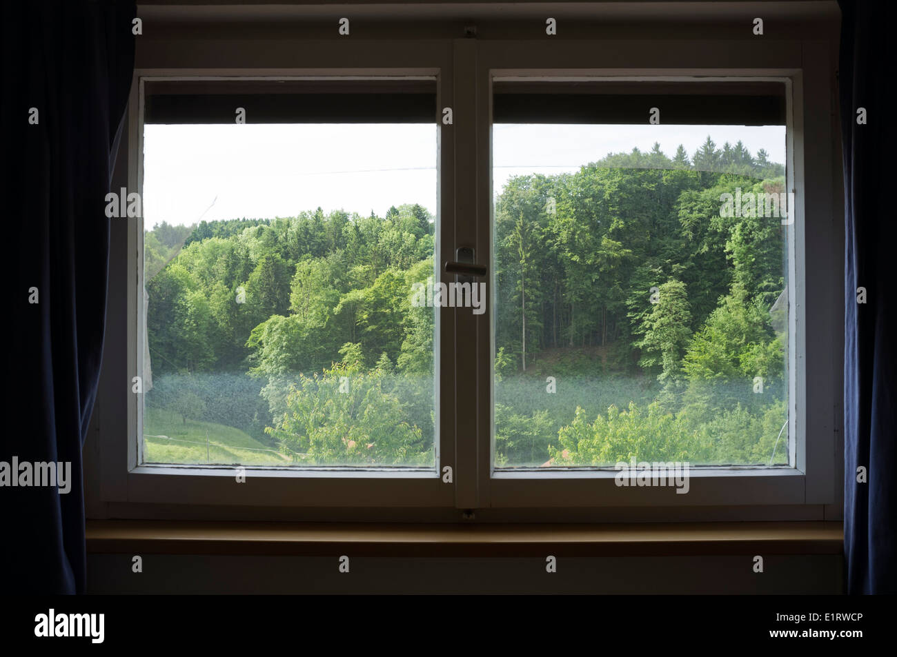 Overlooking a forest from a window hi-res stock photography and images ...